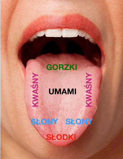 Jak powstaje smak i aromat na grillu i dlaczego dania z grilla smakują ...
